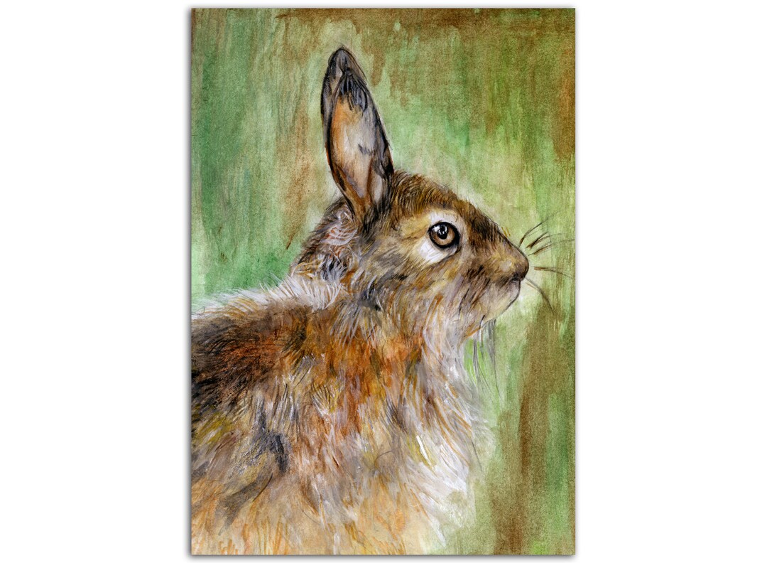 Watercolour Hare Print From a Painting Featuring a Beautiful Hare ...