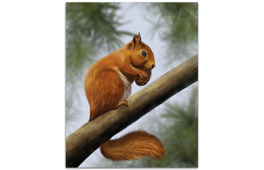 Red Squirrel Art Print, a Realistic Painting of a Red Squirrel | Scottish Wildlife | British ...