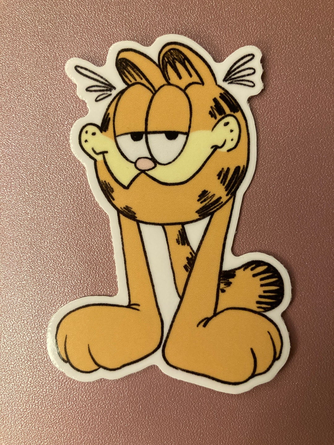 Silly Garfield Sticker, Garfield Sticker, Garfield Decal - Etsy