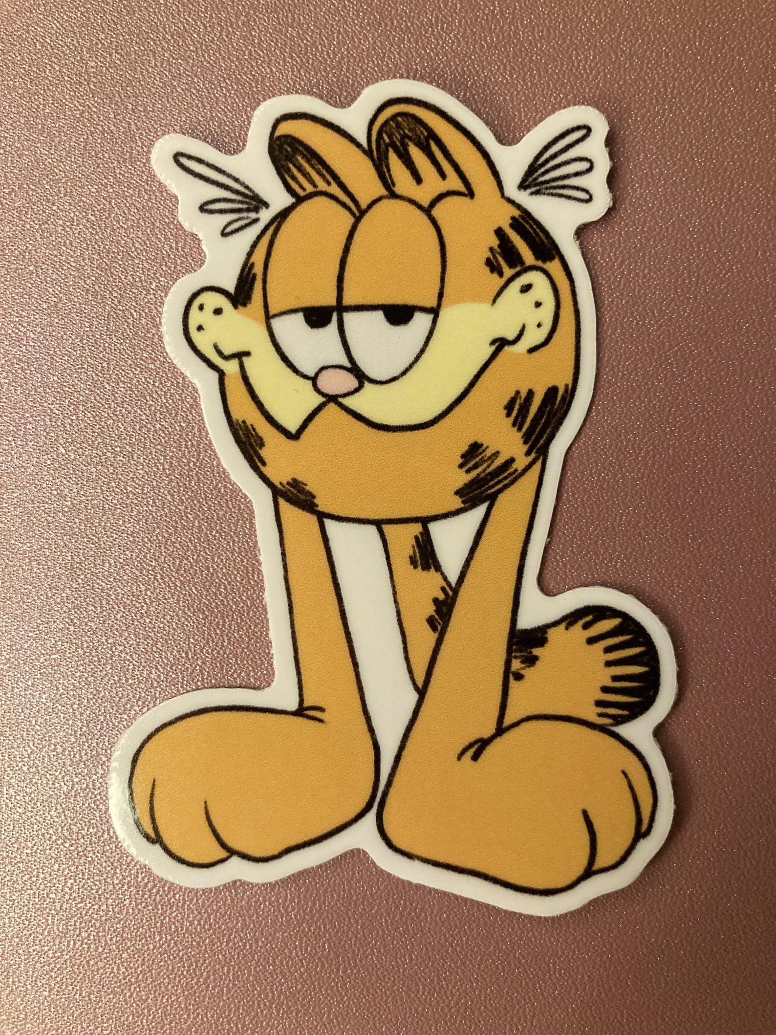 Silly Garfield Sticker, Garfield Sticker, Garfield Decal - Etsy