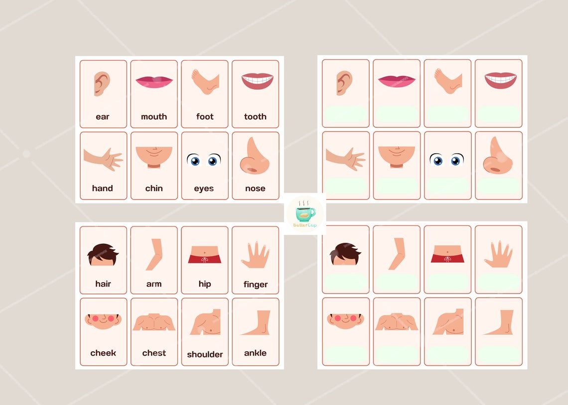 Body Part Flashcards for Kid, Flash Cards, Flashcards Printable, Pre ...