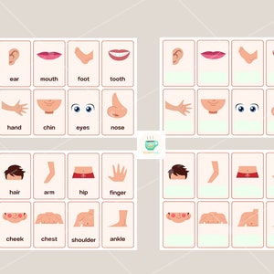 Body Part Flashcards for Kid, Flash Cards, Flashcards Printable, Pre ...