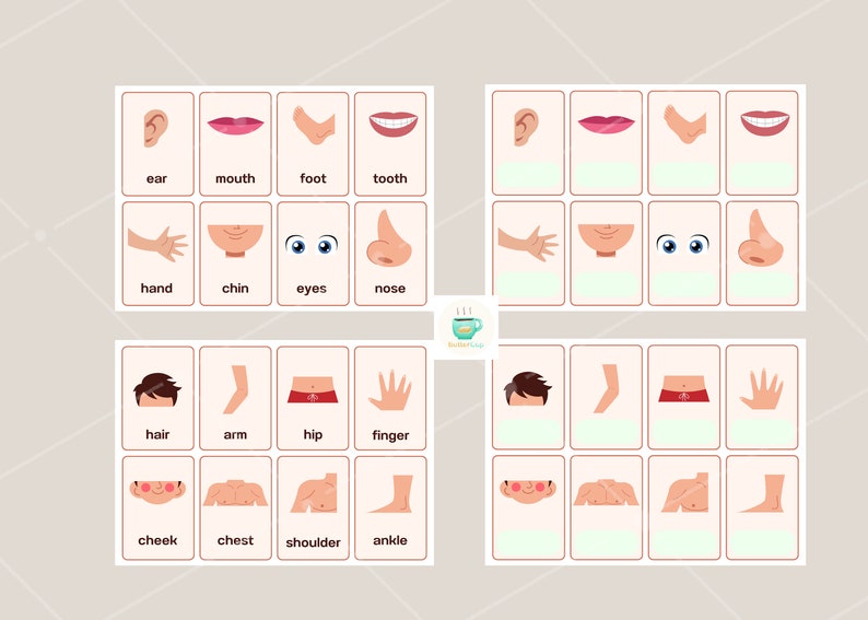 Body Part Flashcards for Kid, Flash Cards, Flashcards Printable, Pre ...