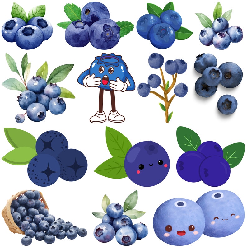 Blueberry Svg Bundle, Blueberry Clipart, Blueberry Png, Blueberry Cut ...