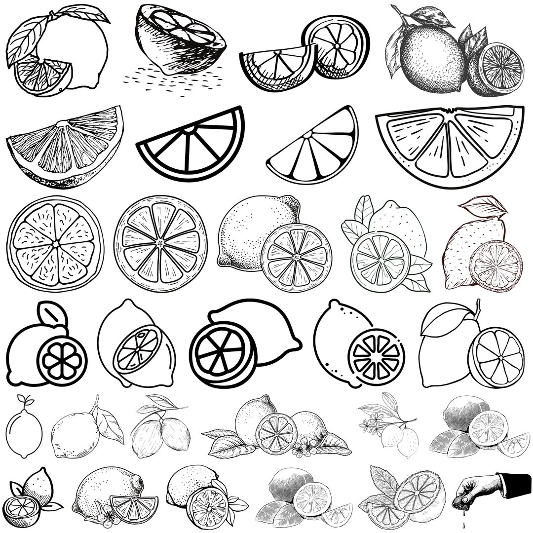 Lemon Svg Bundle, Lemon Cut File, Lemon Silhouette, Lemon Slice Svg ...