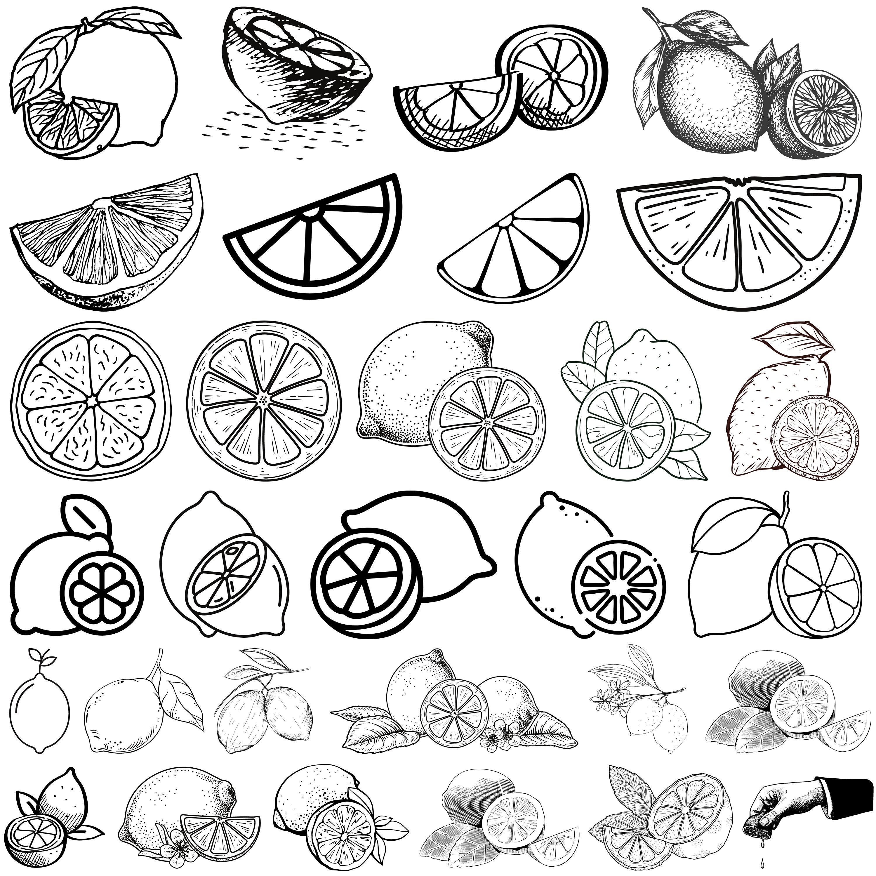 Lemon Svg Bundle, Lemon Cut File, Lemon Silhouette, Lemon Slice Svg ...