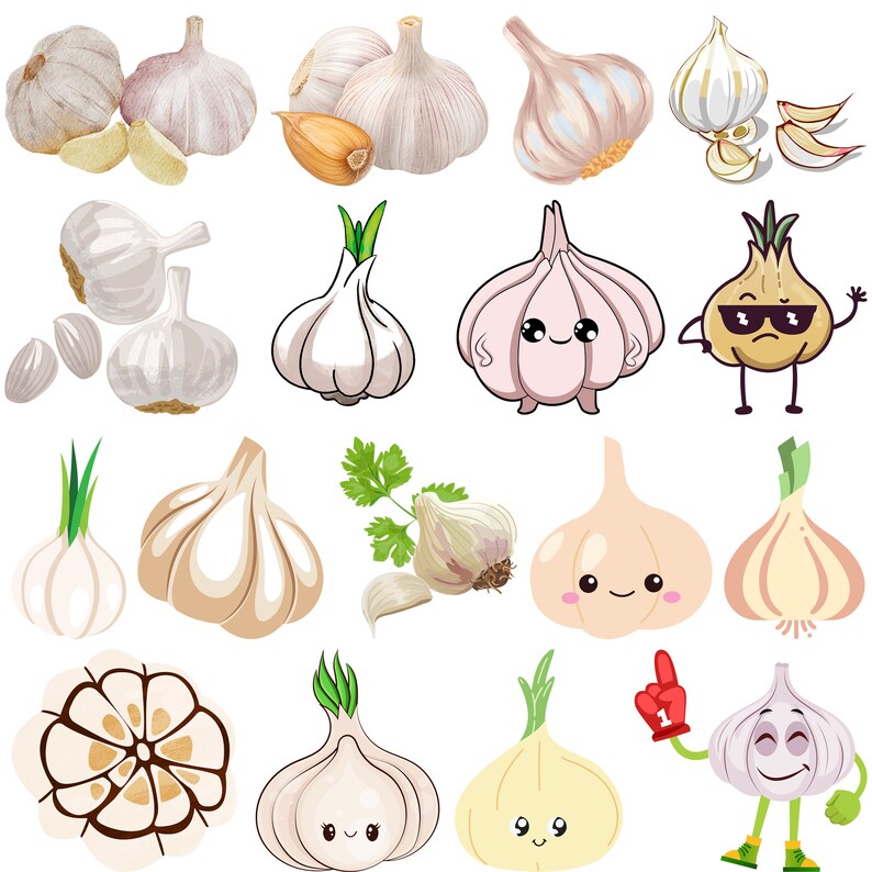 Garlic SVG Bundle, Garlic Silhouette, Garlic Clipart, Garlic SVG Files ...