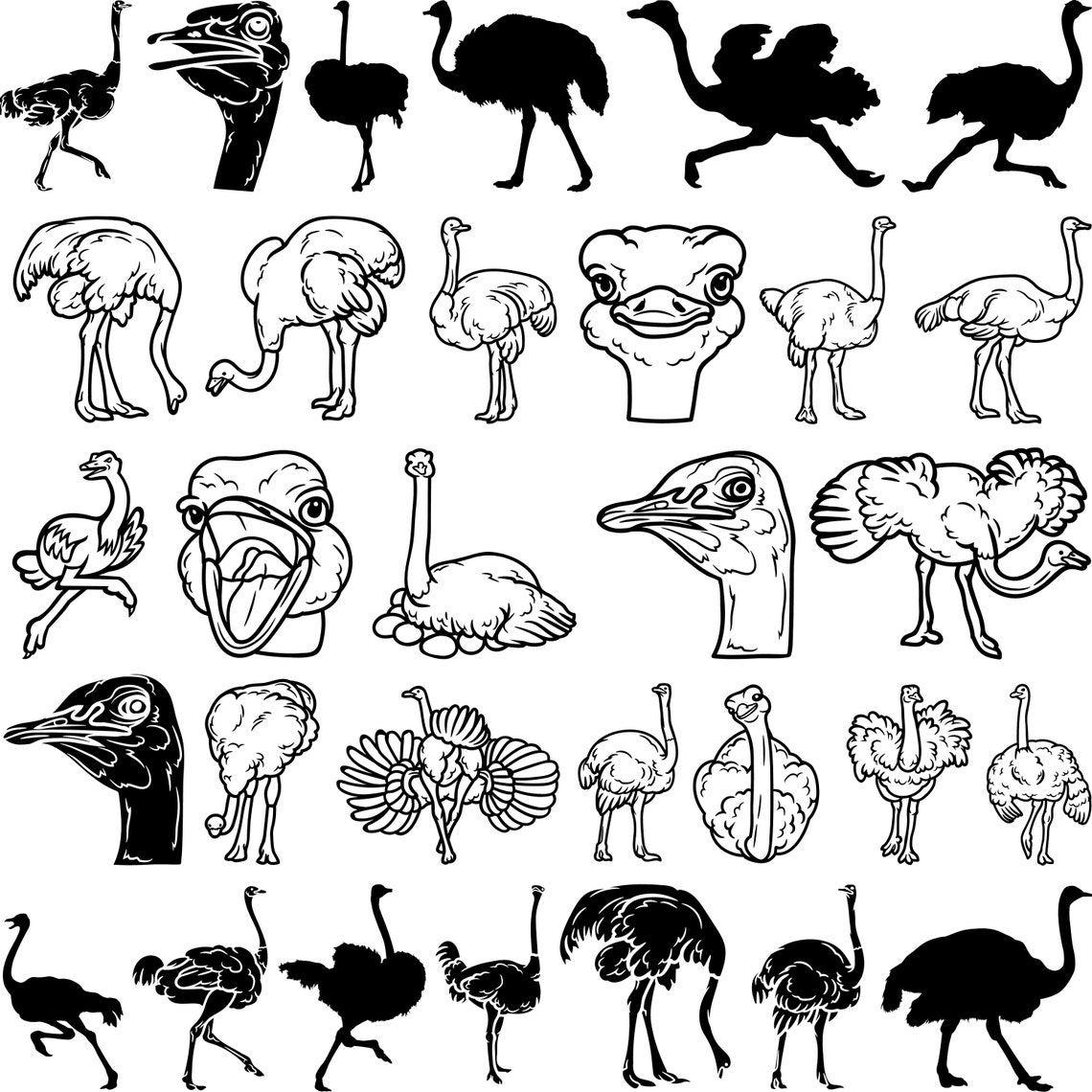 Ostrich SVG Bundle, Ostrich Vector, Ostrich Cut Files, Australian Bird ...