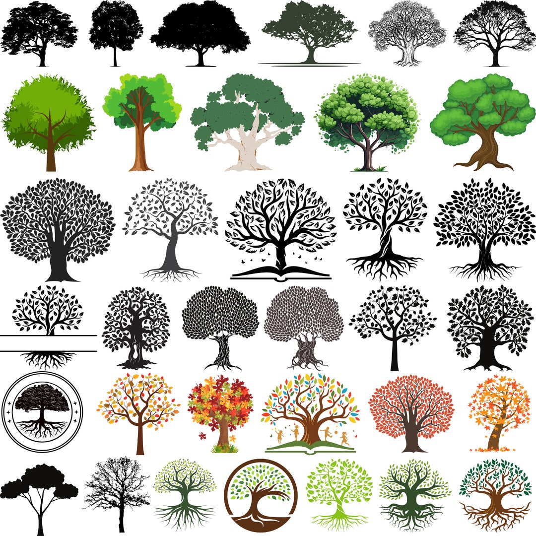 Oak Tree Svg, Oak Tree Clipart, Tree Svg,family Tree Svg Bundle, Tree ...
