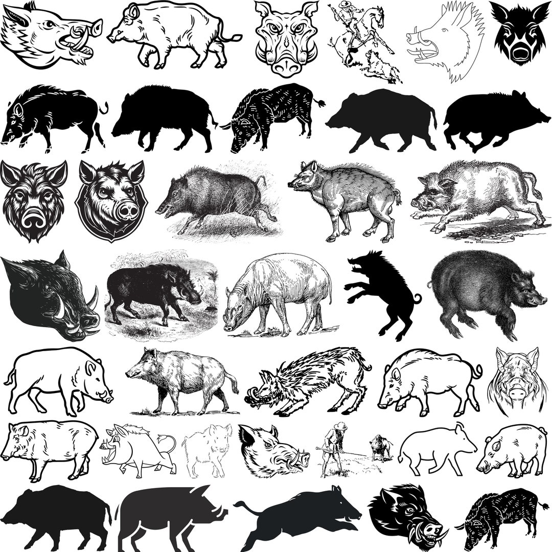 Eber SVG Bundle Eber Monogramm Eber SVG Sammlung Eber - Etsy.de