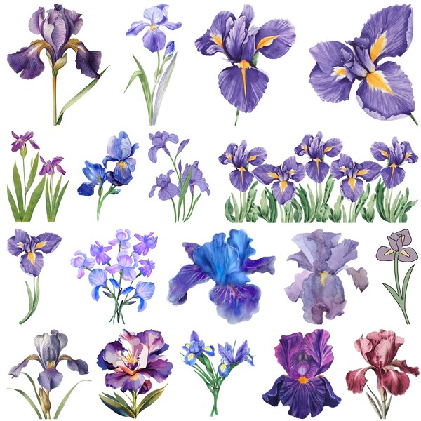 Dxf File Iris - Etsy
