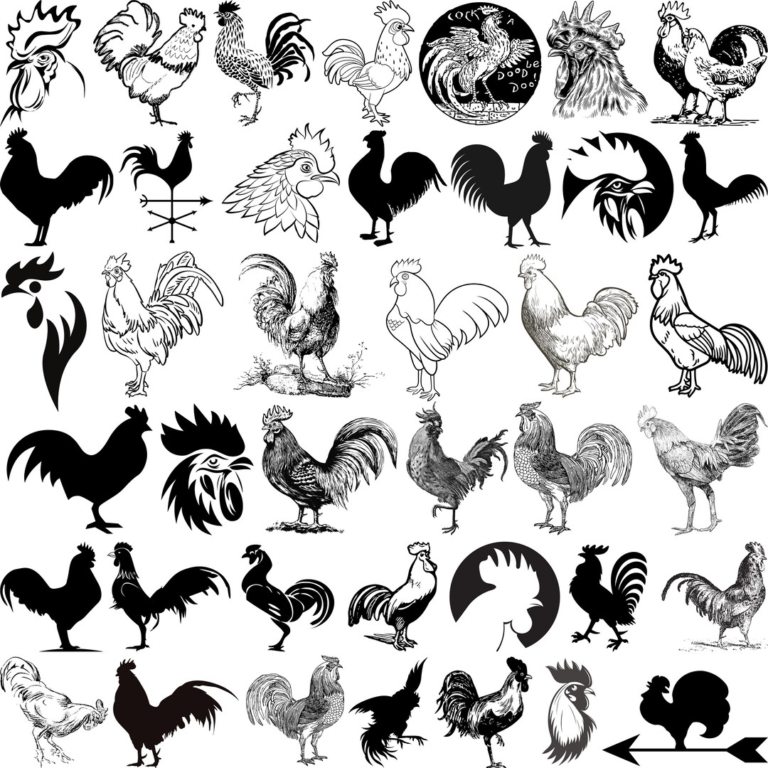 Rooster Svg Bundle, Floral Rooster Svg, Rooster Cut Files for Cricut ...