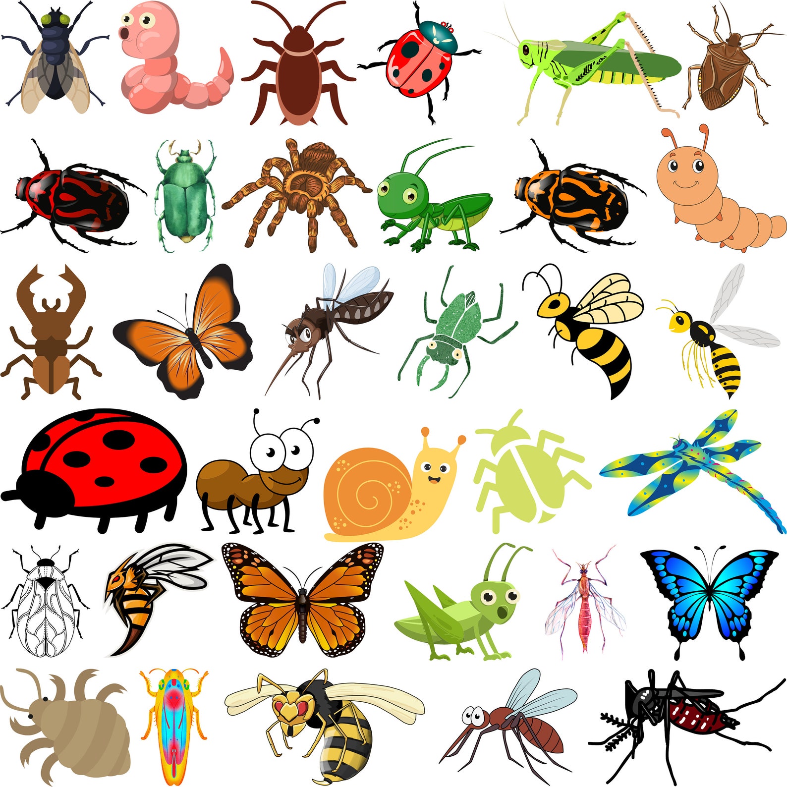 Insect SVG Bundle, Insect Clipart, Insect Silhouette, Insect SVG Cut ...