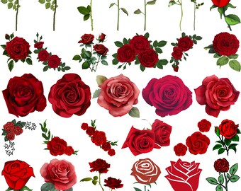 Rose SVG Bundle, Rose SVG, Flower Svg, Monogram Svg, Half Rose Svg, Cut ...