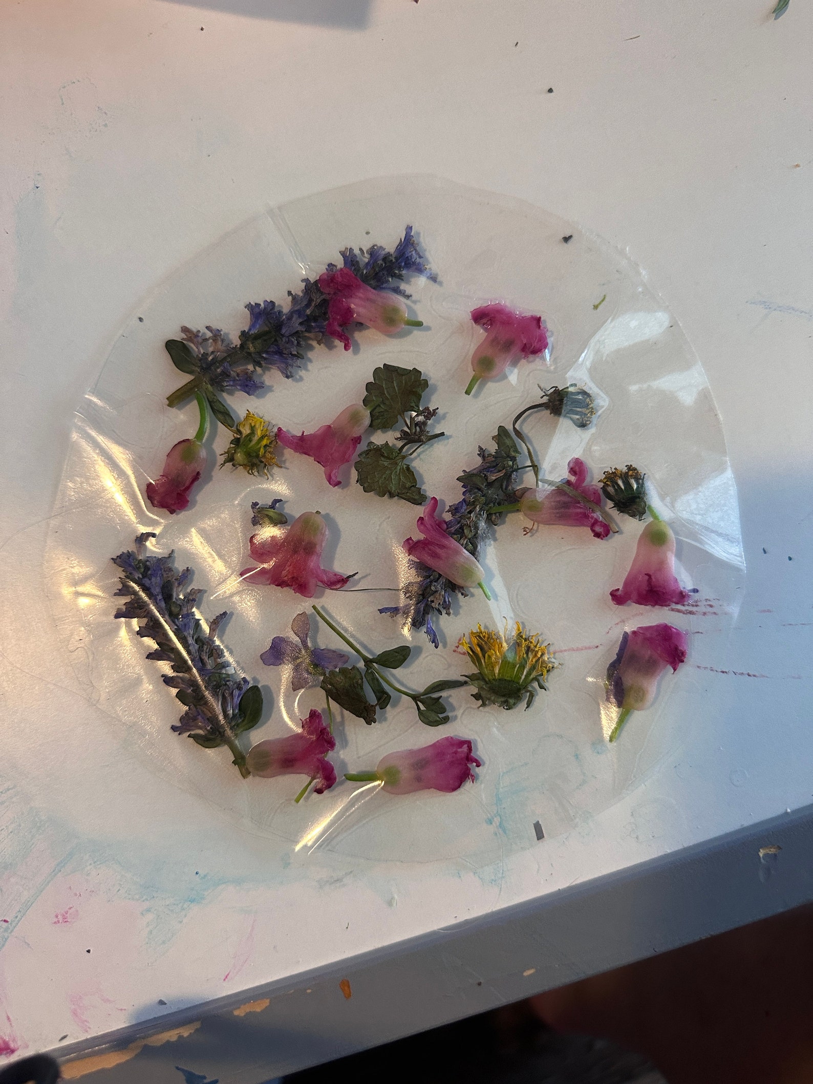 DIY Suncatcher Kit for Kids and Family Fun - Etsy