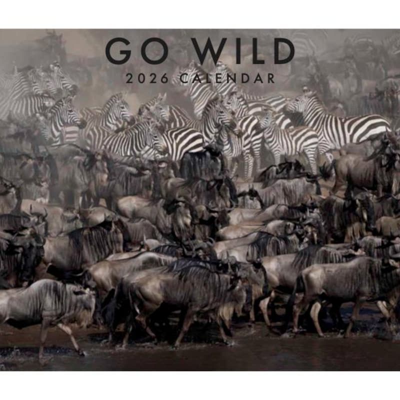 Music African Art - Etsy