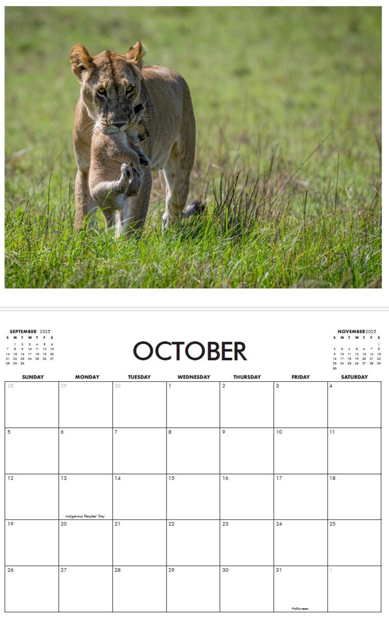 Go Wild 2025 African Wildlife Calendar 11 X 8.5 - Etsy