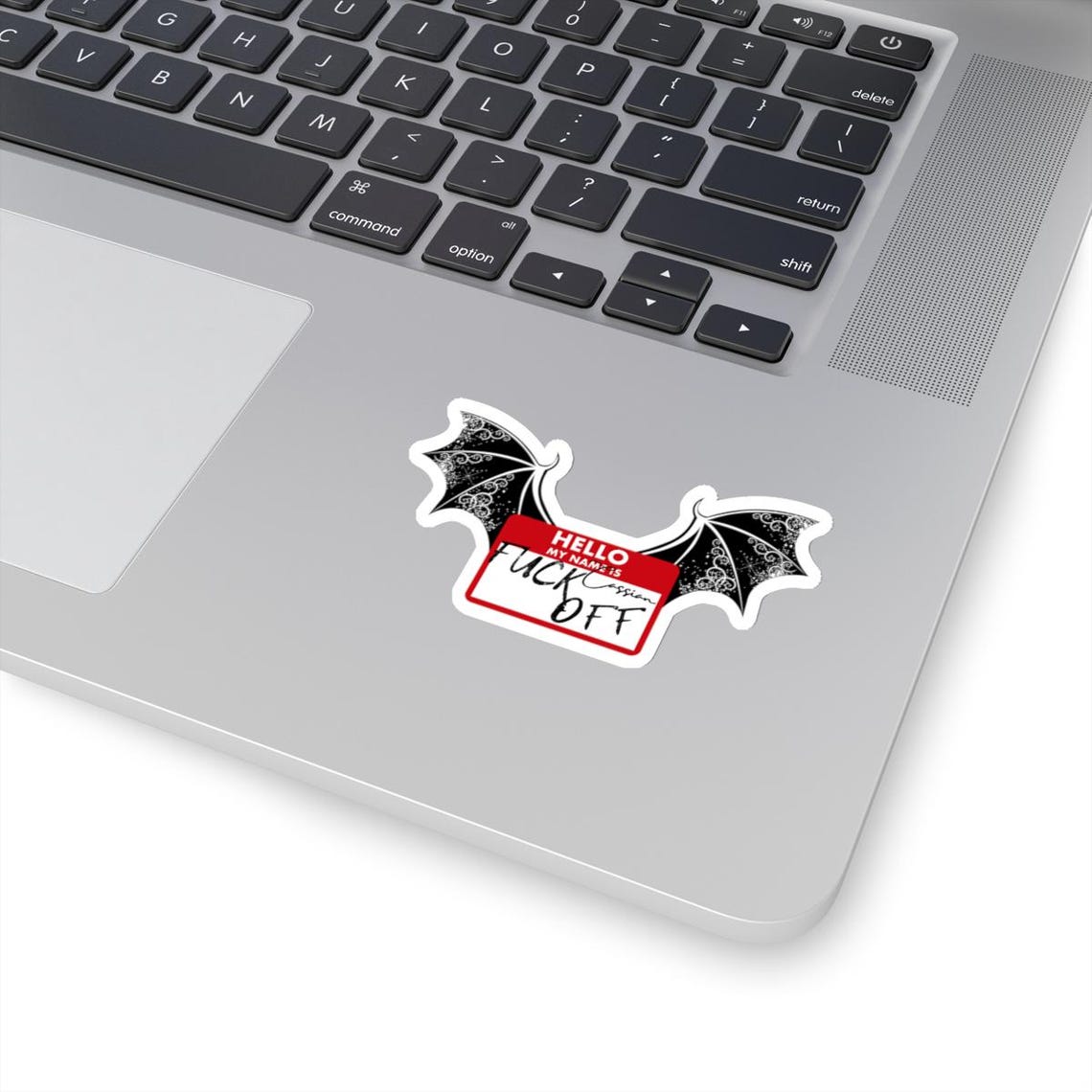 Cassian ACOTAR Sticker: Bookish Fantasy Novel Decal - Etsy