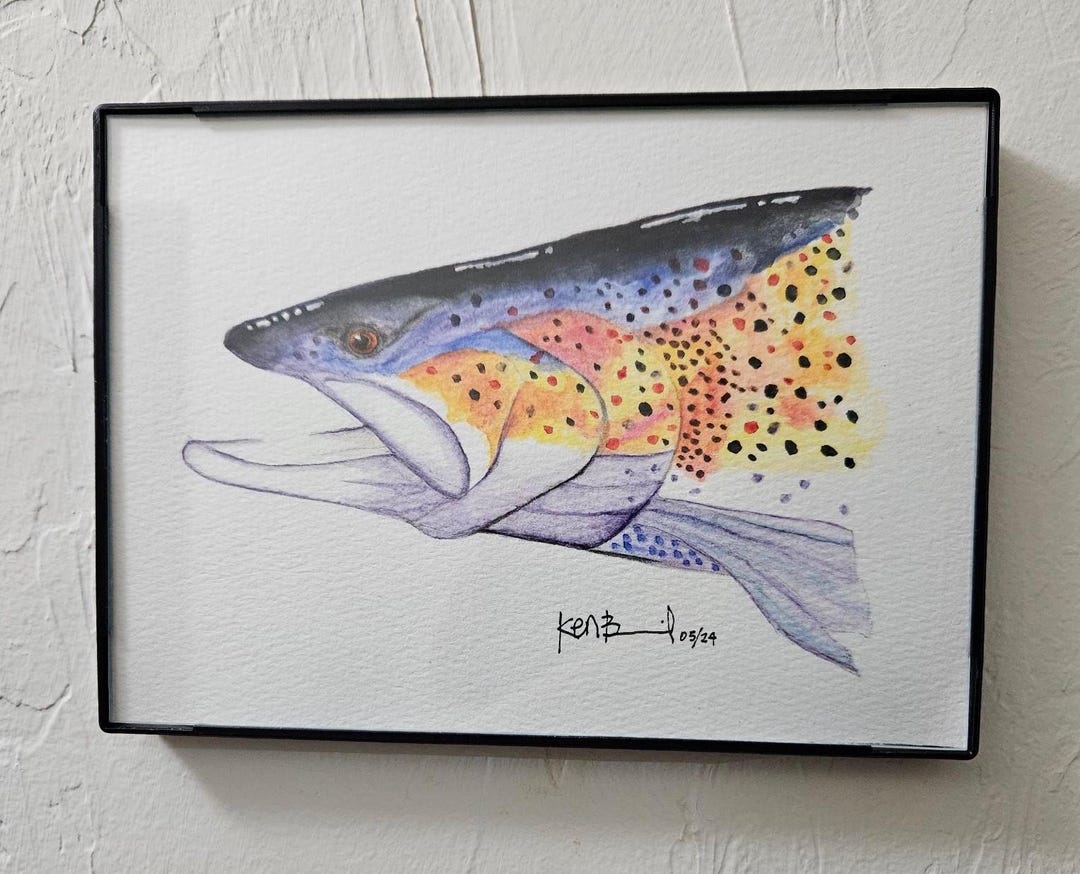 Original Watercolor Pencil & Ink Fish Drawing #7 - Etsy