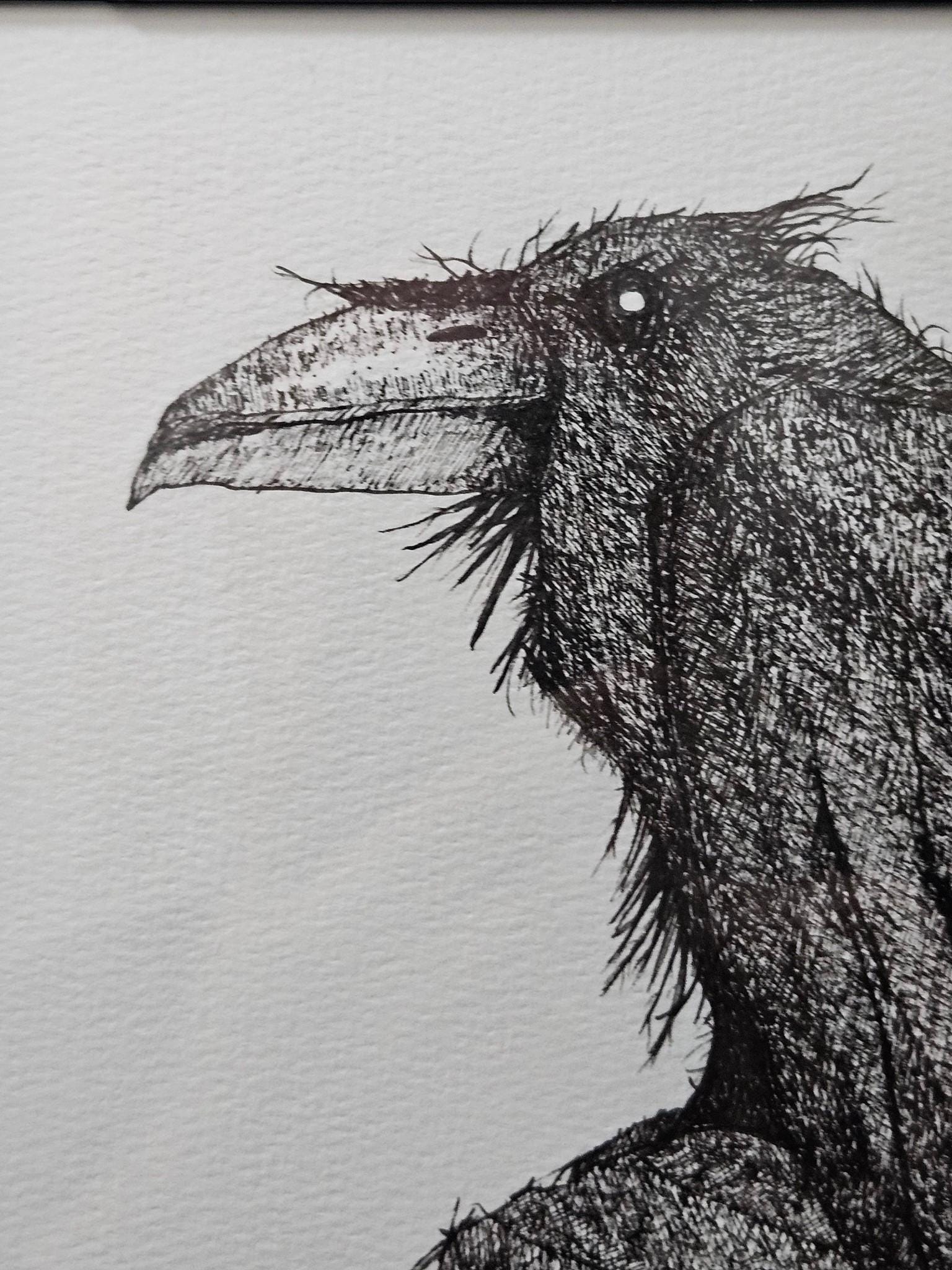 Original Pen and Ink Drawing: "the Old Raven" - Etsy
