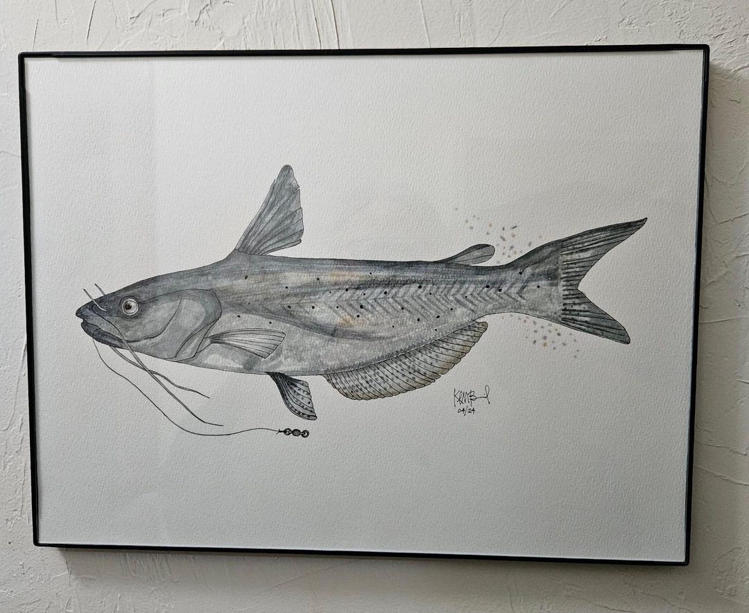 Original Watercolor Pencil & Ink Fish Drawing #9 - Etsy