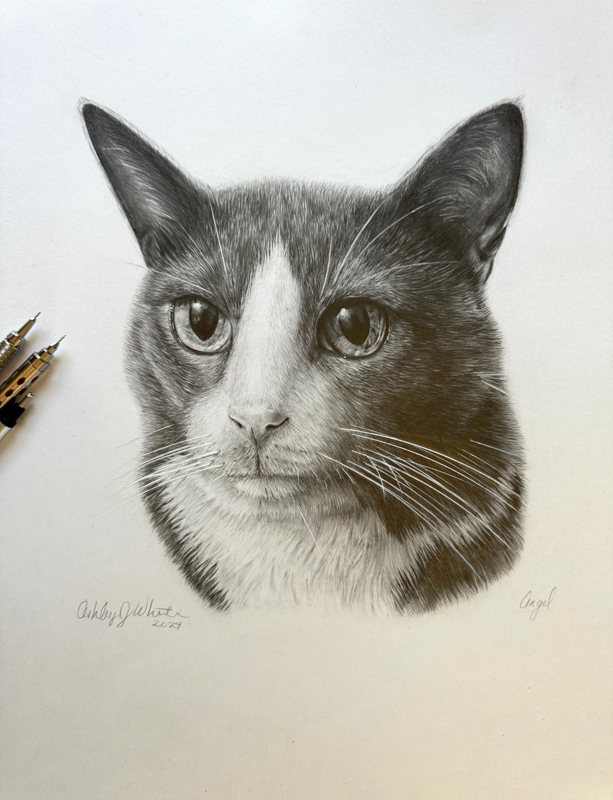 Custom Pet Portrait From Photo - Any Animal - Etsy