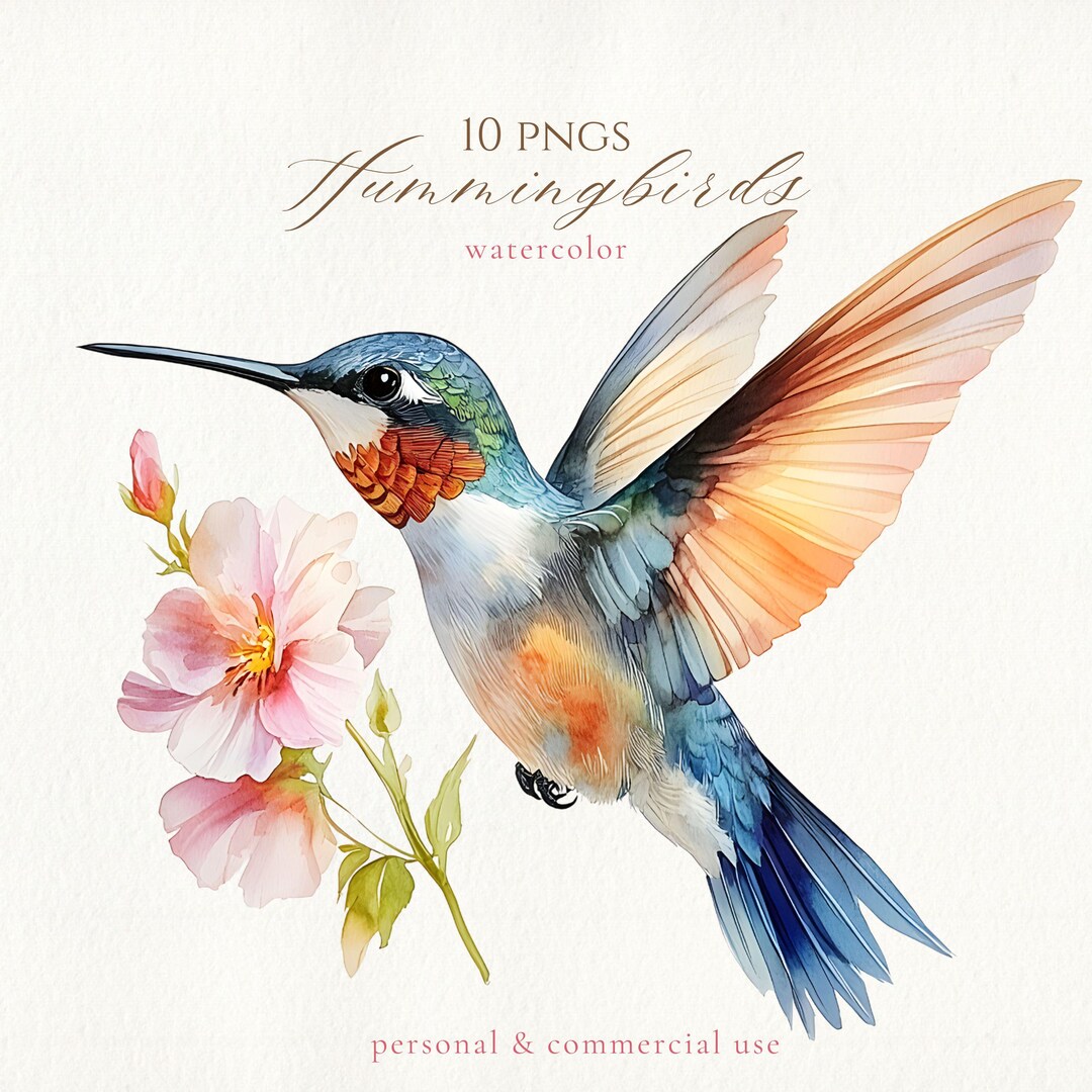 Watercolor Hummingbird Clipart: Pastel Bird PNG Bundle (digital ...