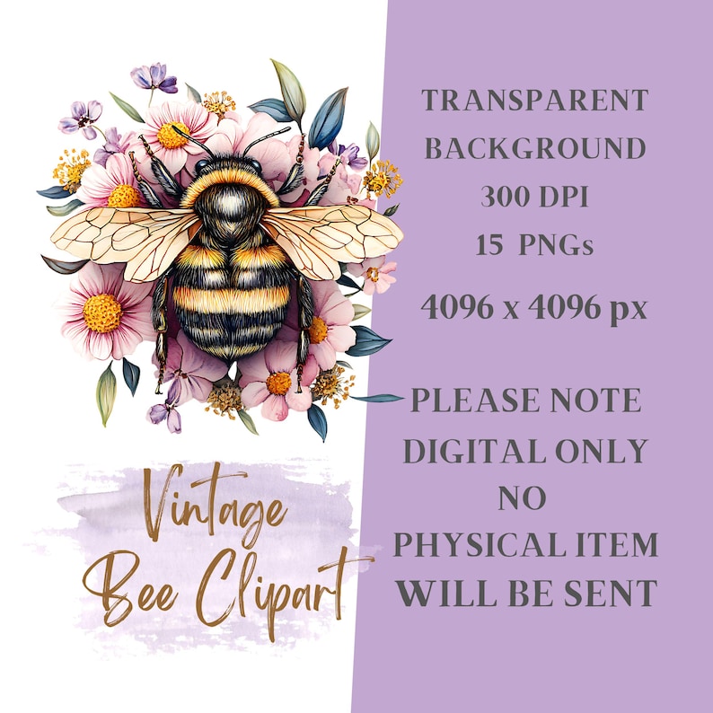 Watercolor Bee Clipart Bundle: Vintage Boho Honeybees, Pastel Flowers ...