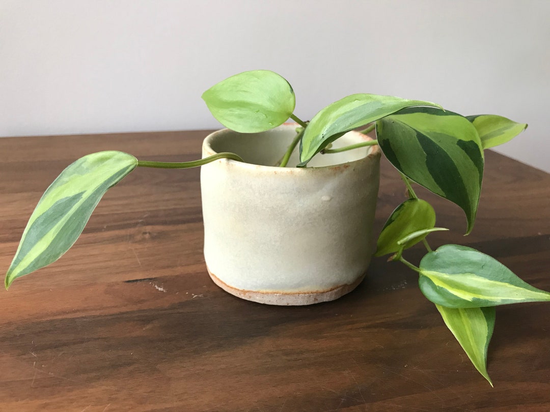 Simple Ceramic Pot Stoneware Cup Matt Tumble Pottery Clay - Etsy