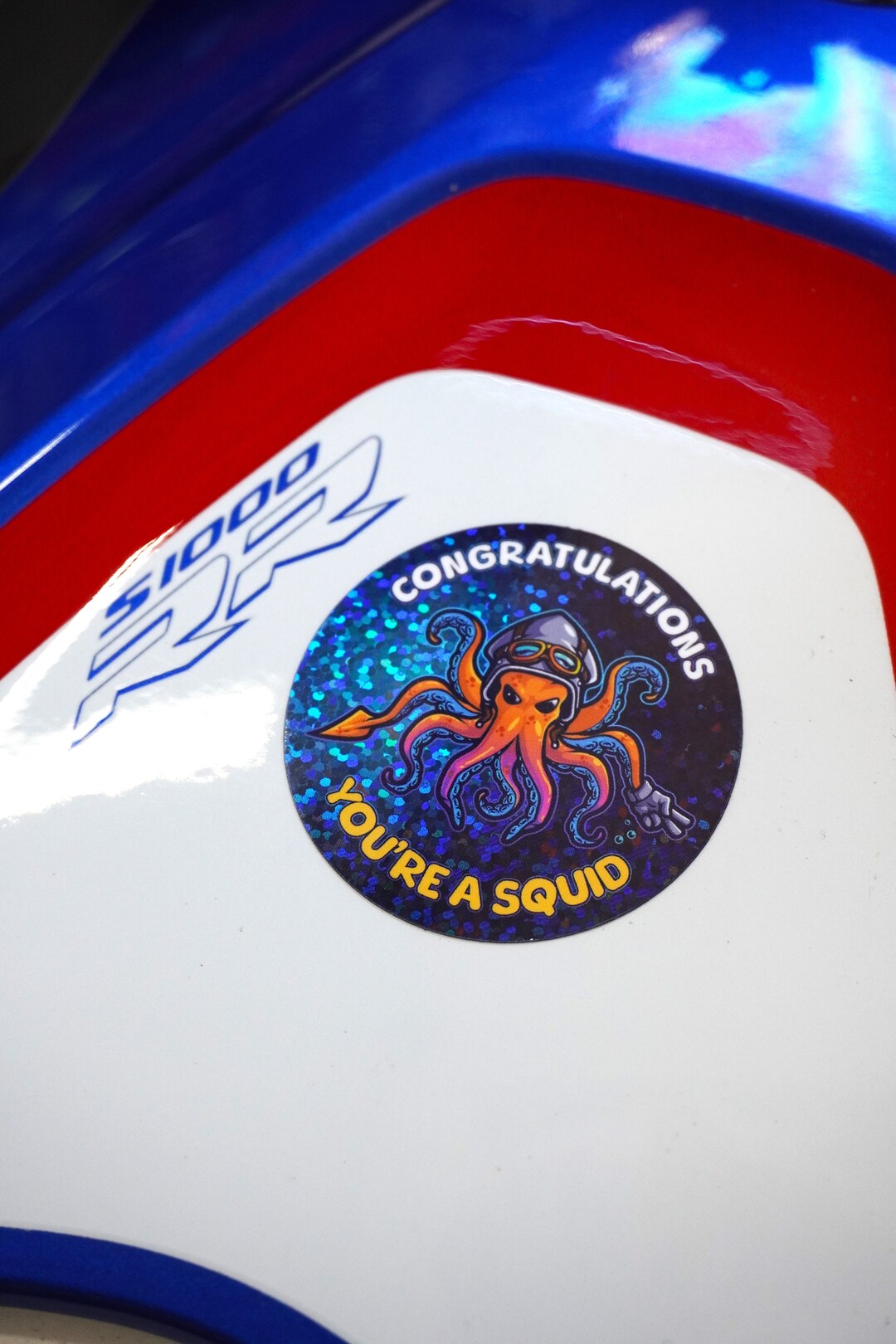 Congratulations You're A Squid Decal/sticker - Etsy