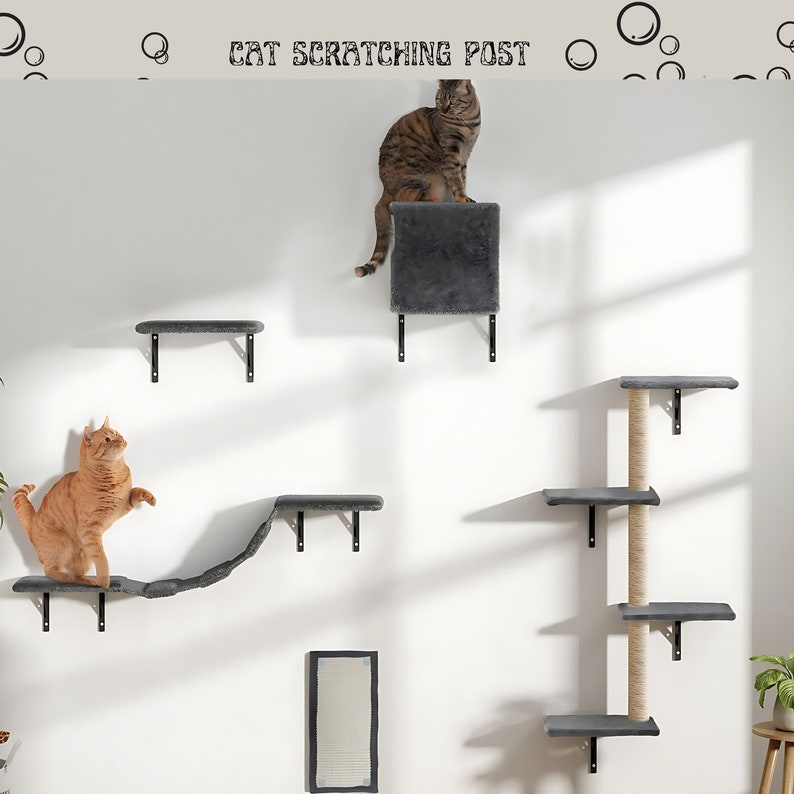 5 Pcs Cat Wall Shelves, Wall-mounted Cat Climber Set, Unique Cat ...