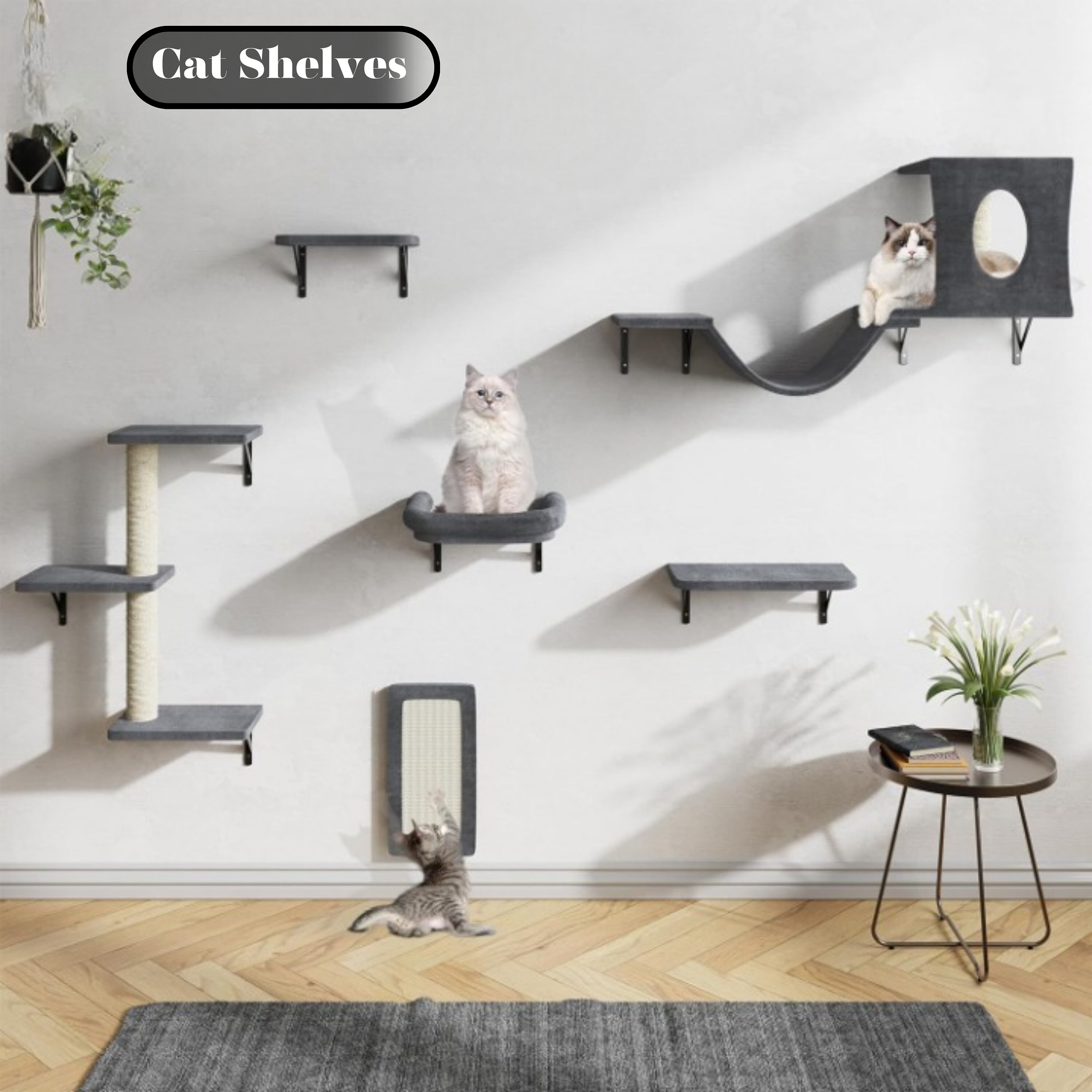 6 Pcs Cat Wall Shelves, Luxury Wall-mounted Cat Climber Set, Cat Bridge ...