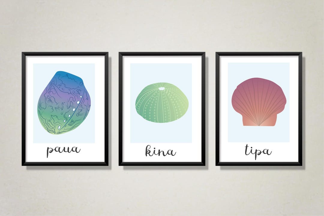 Sea Shells New Zealand Maori Nursery Set of 3 Art Prints, Digital ...