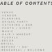Master Wedding Planning Checklist, Editable Wedding Planner, Digital ...