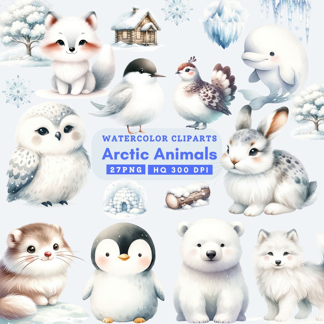 Watercolor Arctic Animal Clipart, Arctic Animal, Cute Animal PMG ...