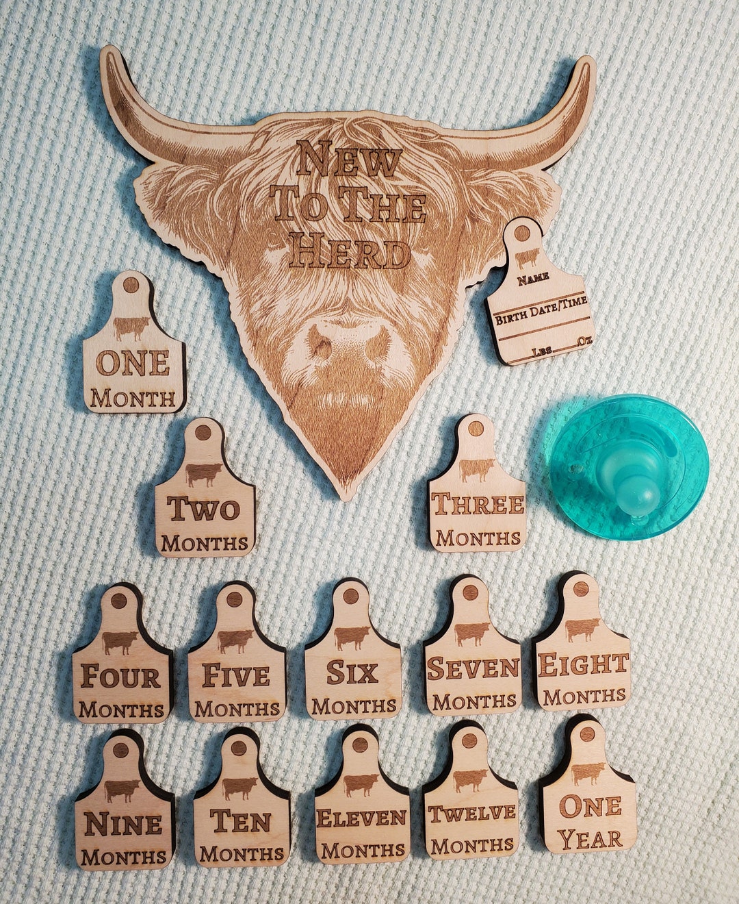 Highland Cow Baby Milestone Markers: Engraved Maple Photo Prop - Etsy