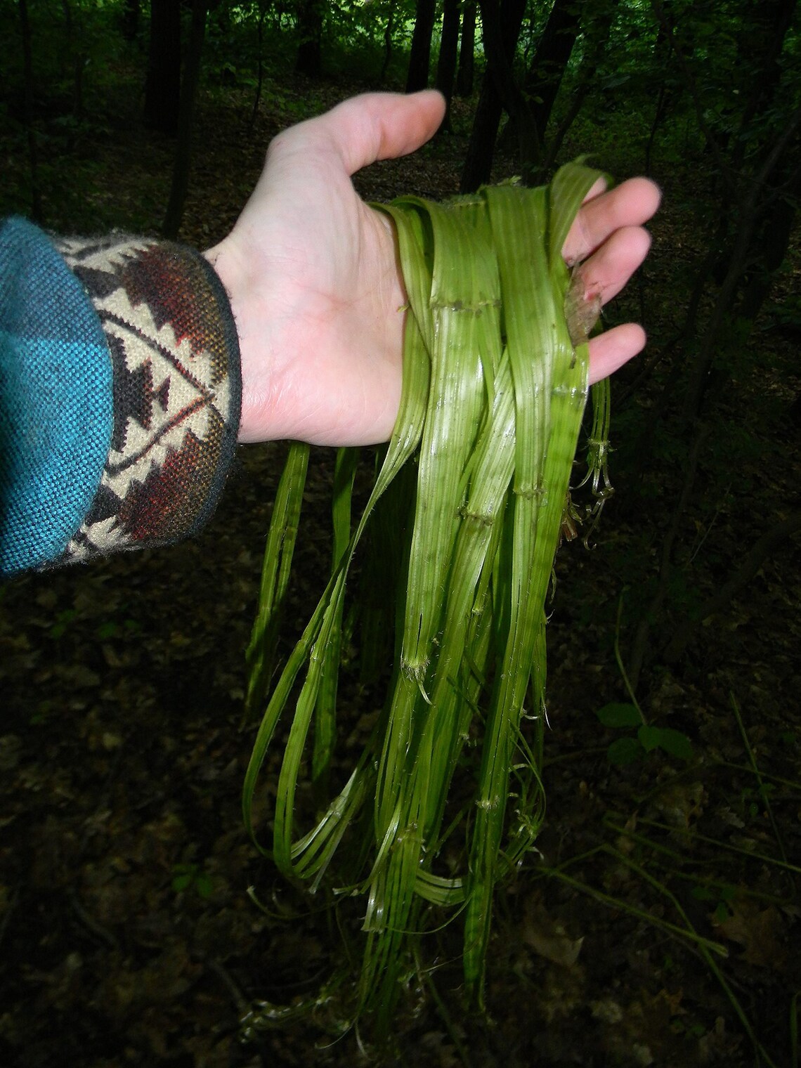 Nettle Cord - Medium Thickness | Handcrafted, for Binding, Netting ...