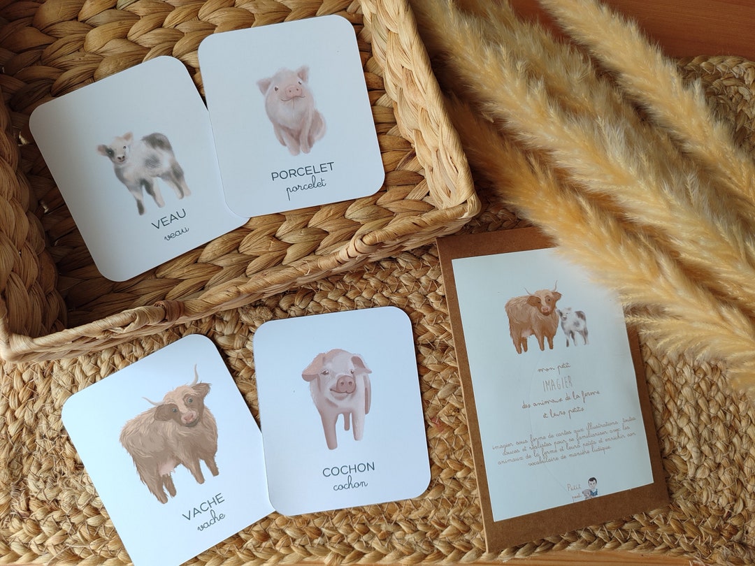 Imagier des animaux de la ferme - Cartes d'apprentissage flashcards ...