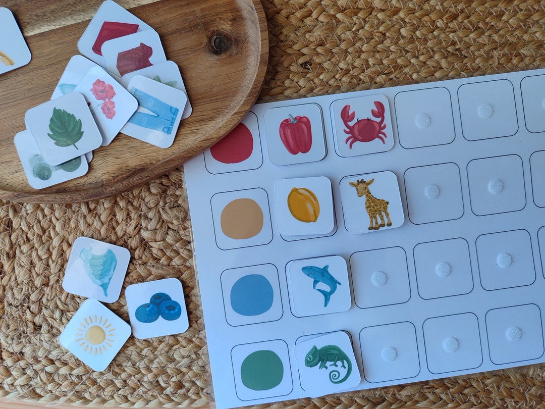 Sorting Learning Primary Colors Green Montessori Parent-child Support ...