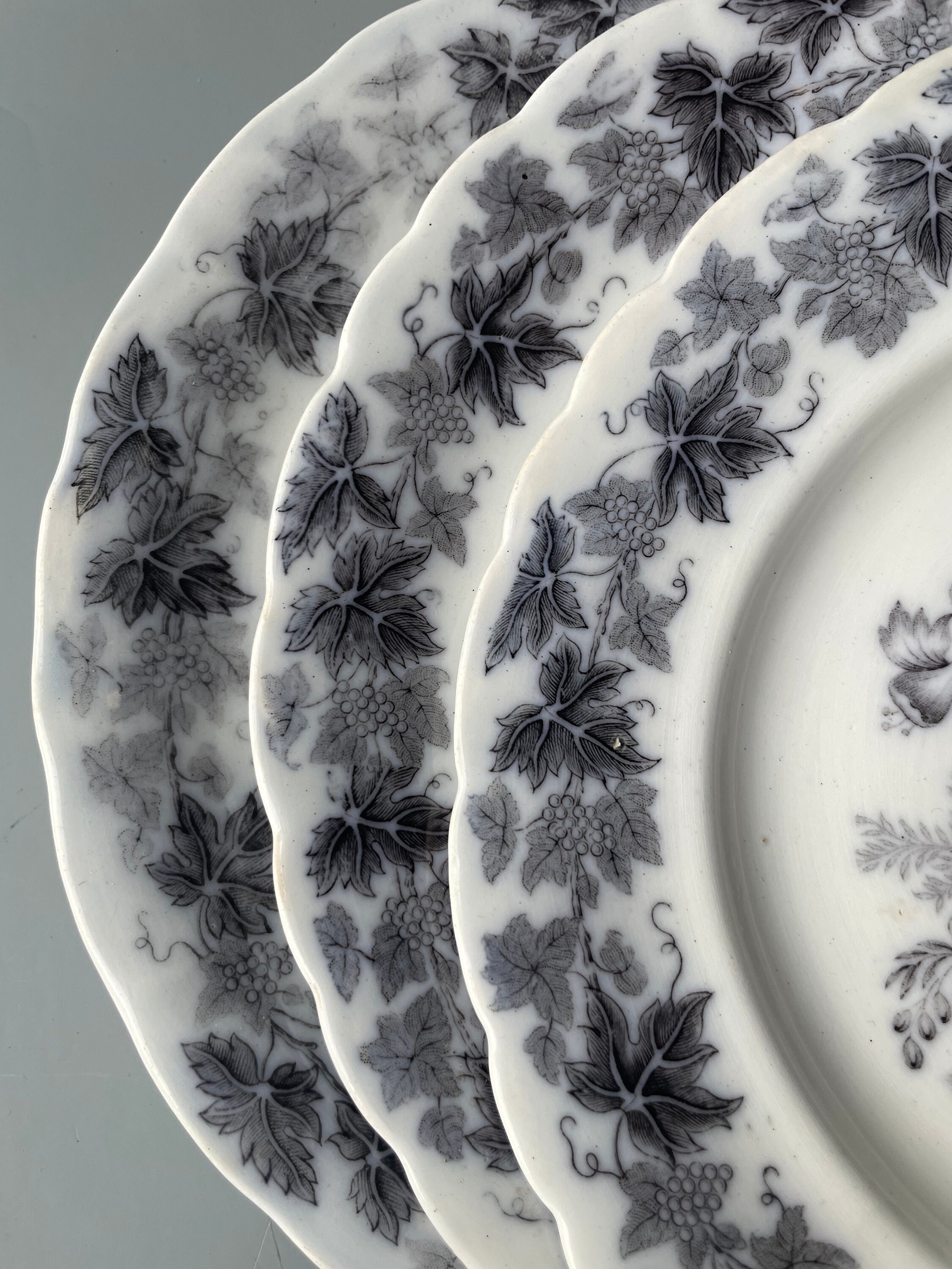 Antique 1890s RÖRSTRAND Porcelain Plate / MULBERRY Pattern 1957-1907 ...