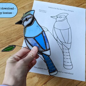 DIGITAL DOWNLOAD Blue Jay Stained Glass Pattern Hobby License - Etsy