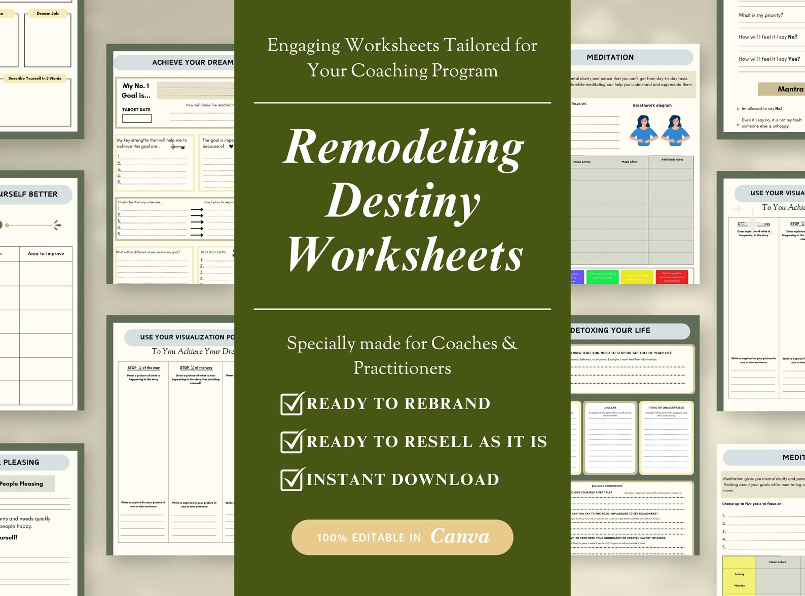 Destiny Worksheets Done for You Ecourse Rebrandable Coaching Program ...