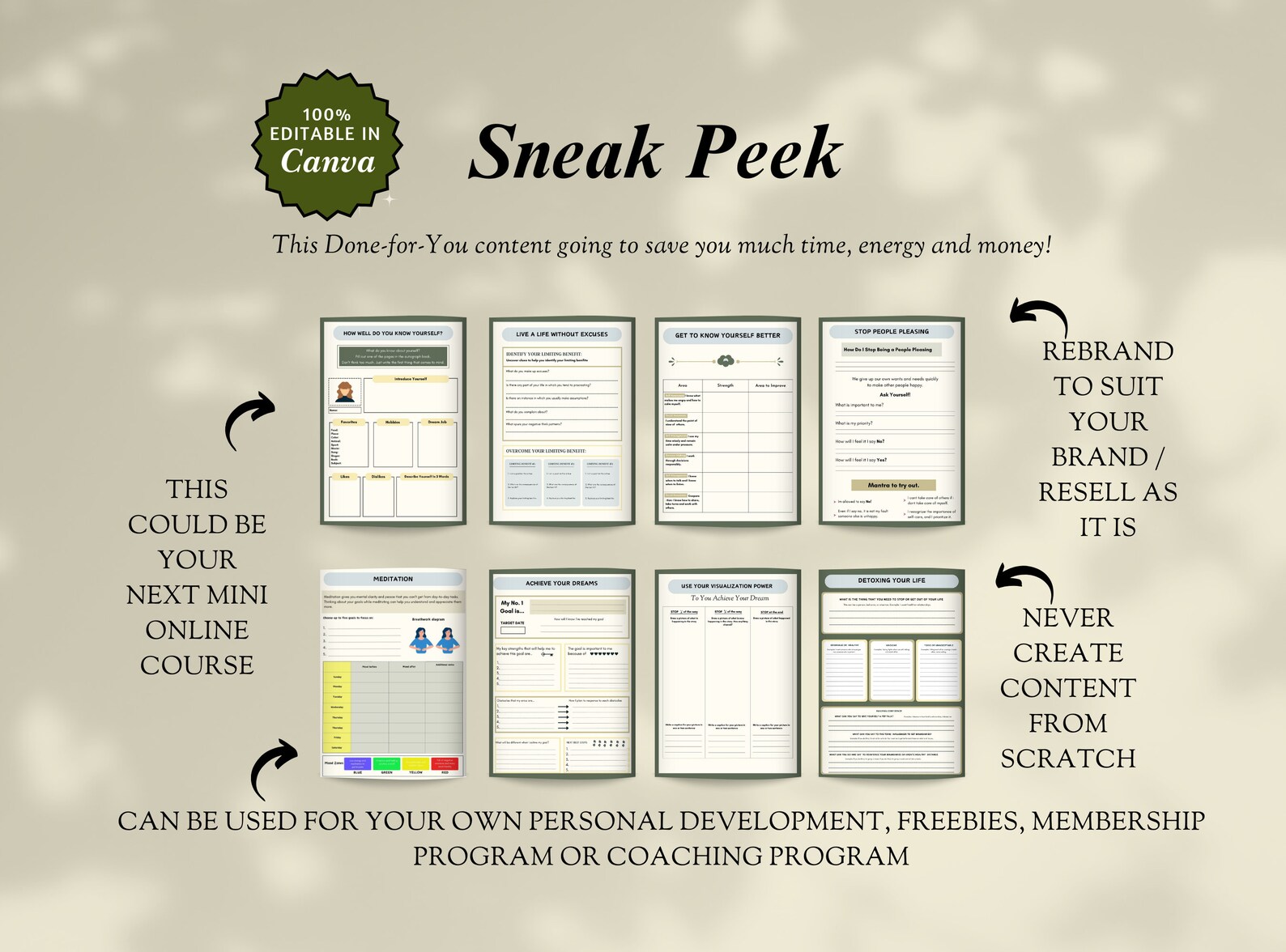 Destiny Worksheets Done for You Ecourse Rebrandable Coaching Program ...