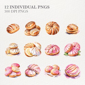 Mexican Pan Dulce, Conchas Pan Dulce, Mexican Bakery Png, Mexican ...