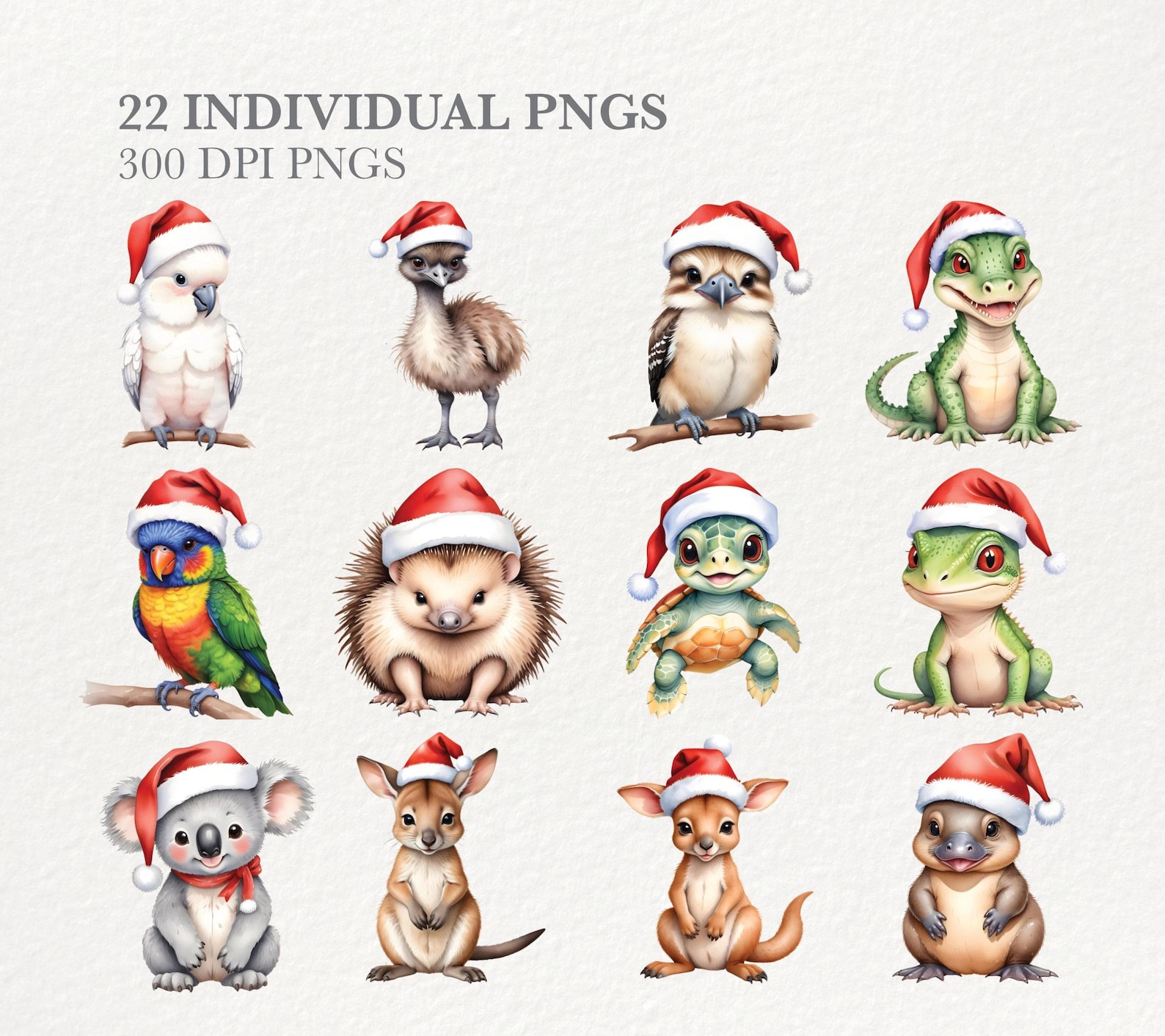 Australian Christmas Clipart, Commercial Use, Watercolor Clipart ...