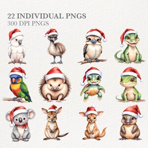 Australian Christmas Clipart, Commercial Use, Watercolor Clipart ...