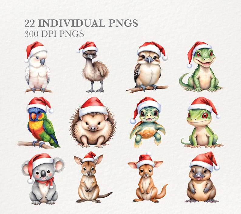 Australian Christmas Clipart, Commercial Use, Watercolor Clipart ...