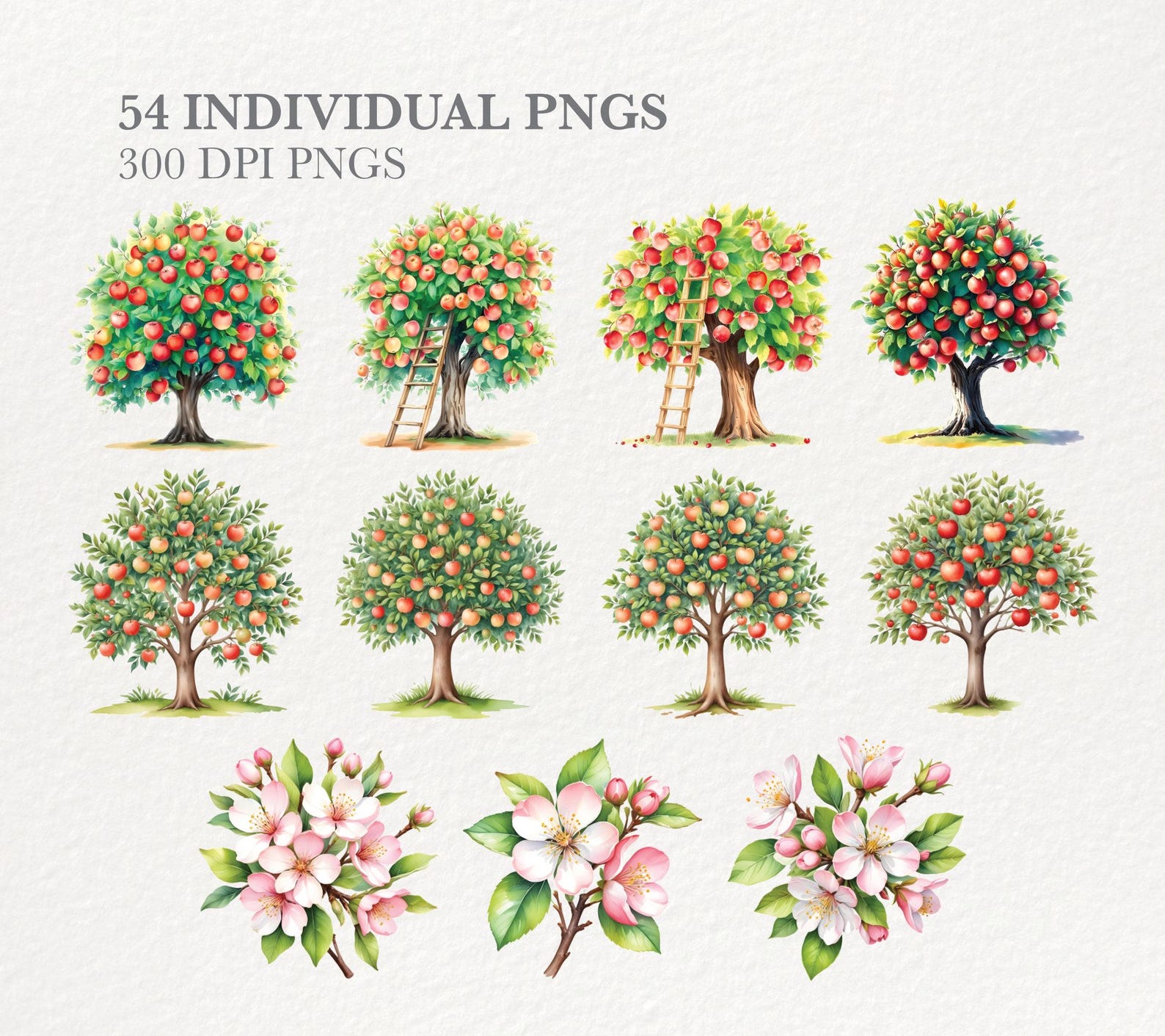 Apple Picking Clipart , Commercial Use , Fruit Clipart, Fruits Clip Art ...