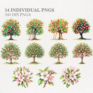 Apple Picking Clipart , Commercial Use , Fruit Clipart, Fruits Clip Art ...