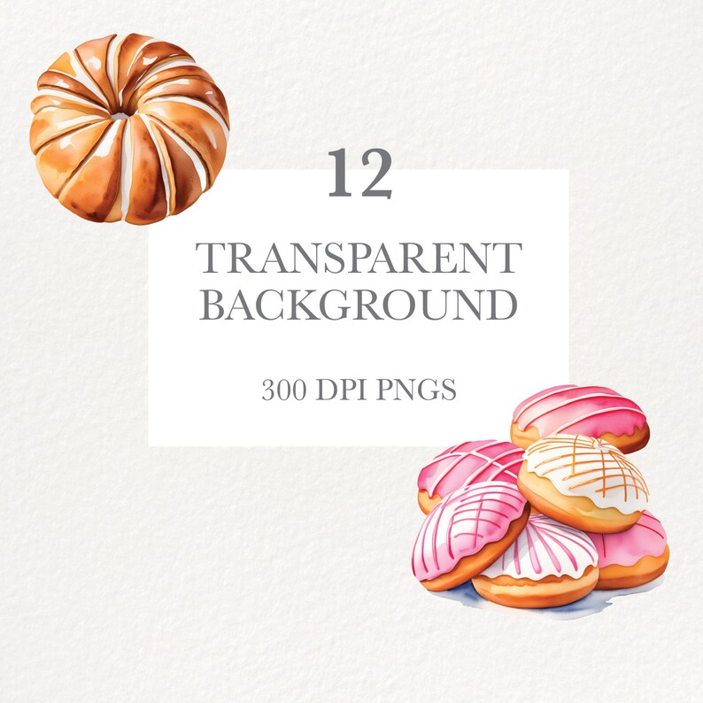 Mexican Pan Dulce, Conchas Pan Dulce, Mexican Bakery Png, Mexican ...